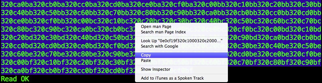 Ios 5x Hfs Heap Buffer Overflow Dump And Overwrite Tlb